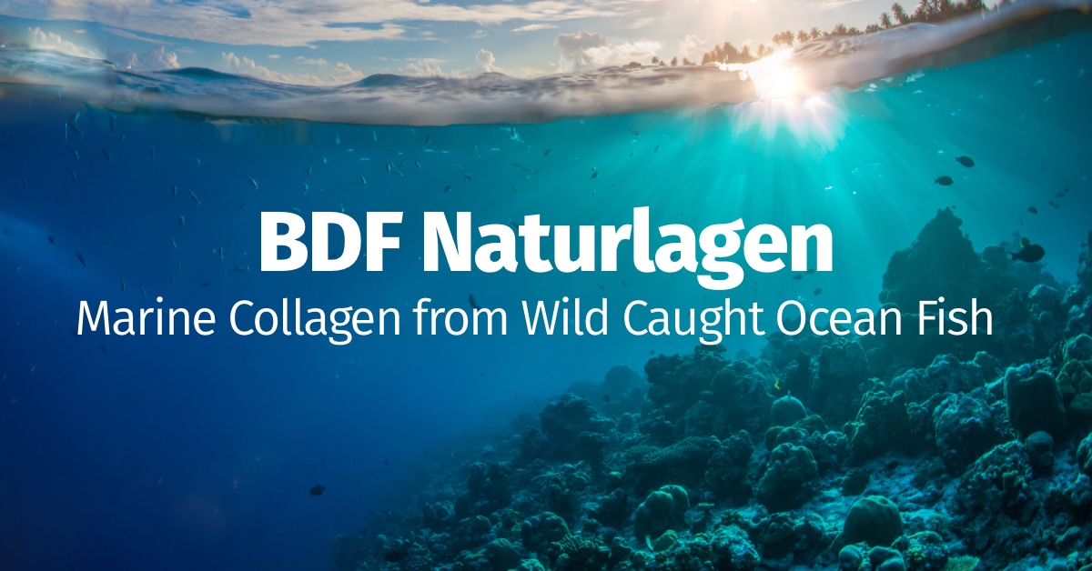 Introducing BDF Naturlagen® Premium Wild-Caught Marine Collagen - BDF ...