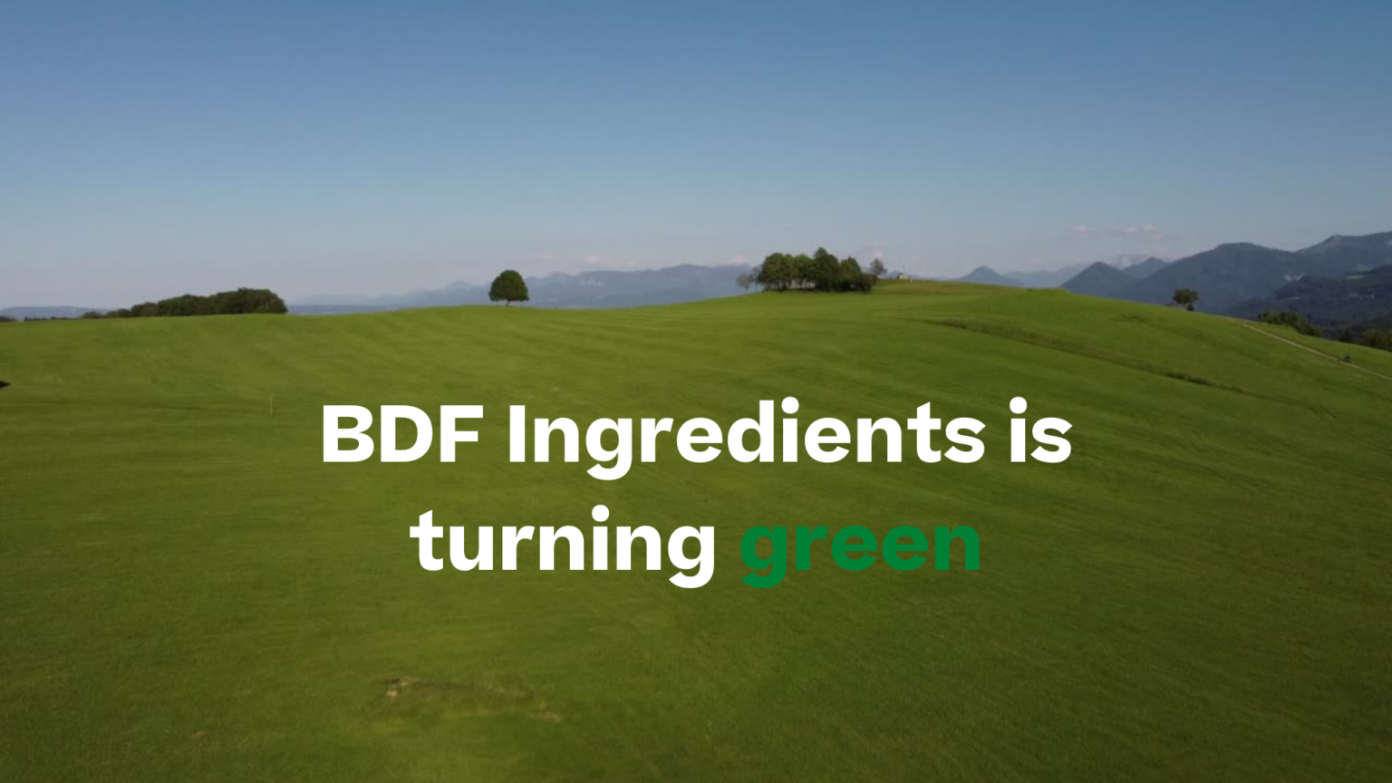 BDF Ingredients is turning green - BDF Ingredients