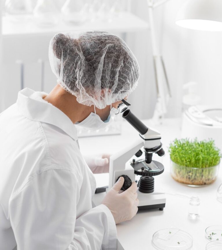 Ebook Landing - BDF Ingredients