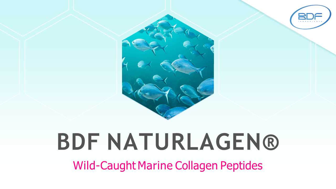 Marine Collagen: A Superior Choice with Purpose - BDF Ingredients
